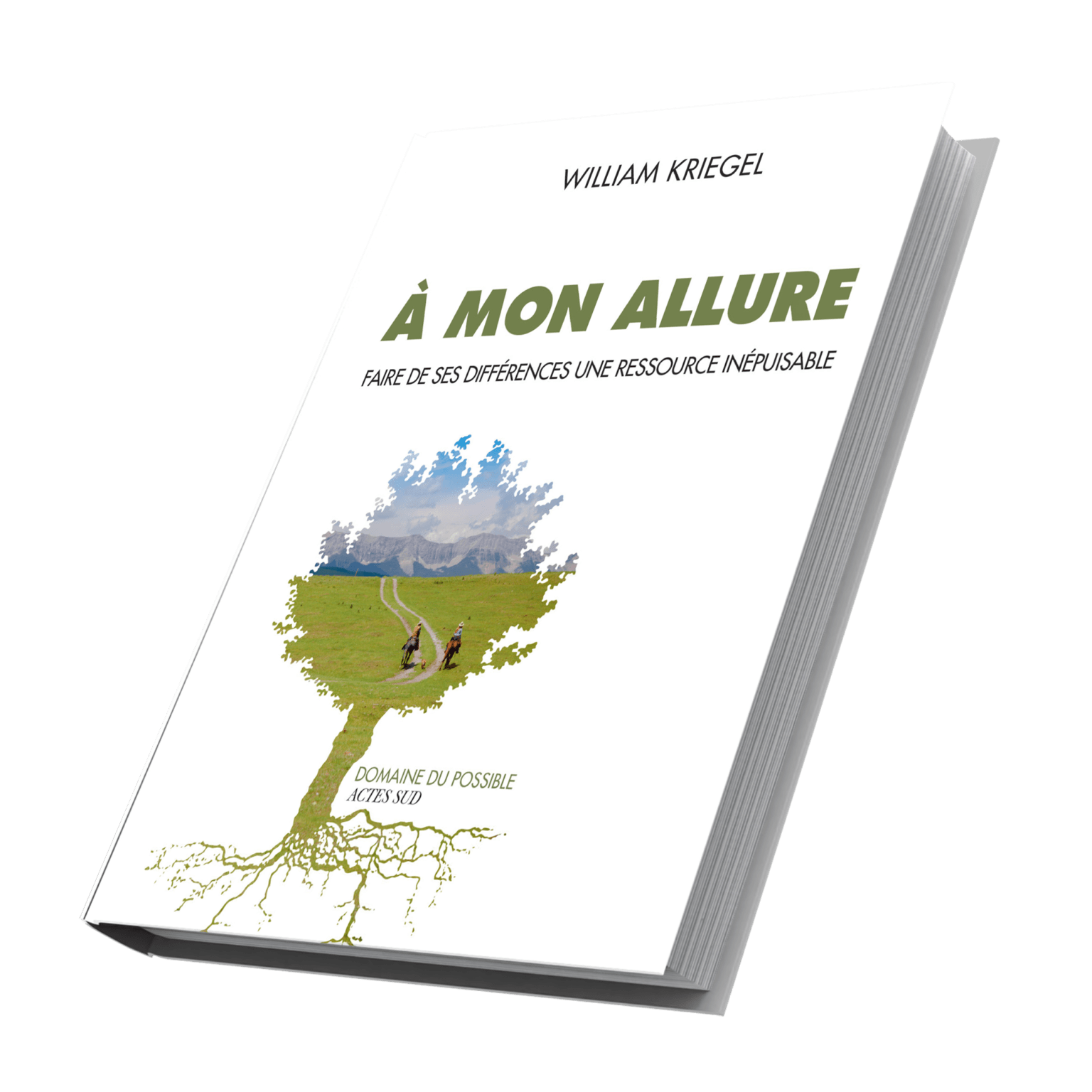 À mon allure - William Kriegel - Haras de La Cense