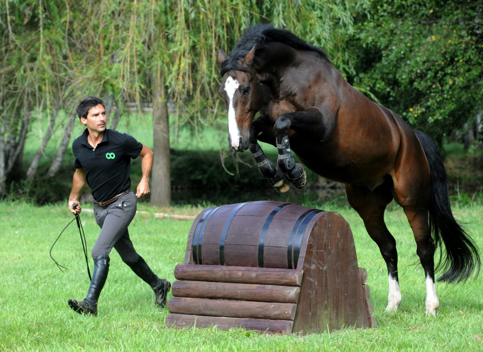 Accueil - Haras de La Cense