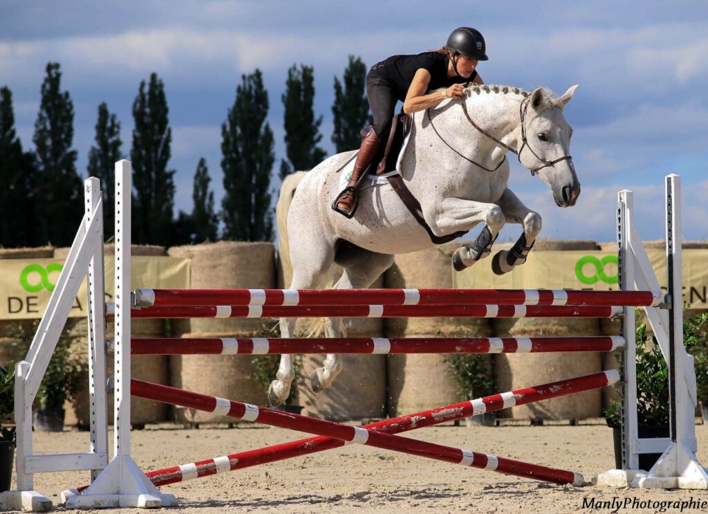 Stage Éducation & Saut d’obstacles - Haras de La Cense