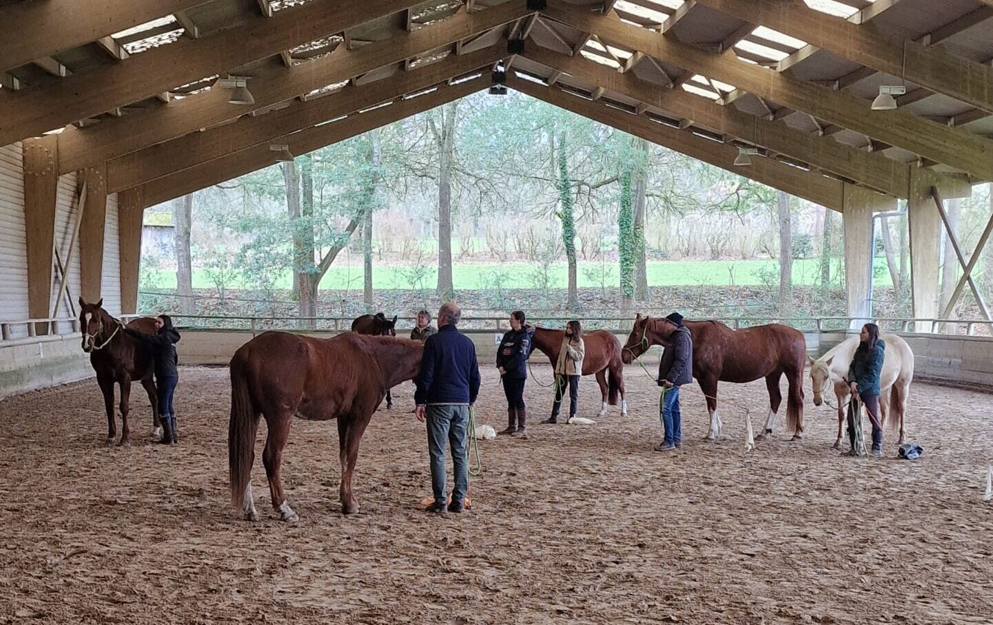 Préparez vos vacances d'été - Haras de La Cense