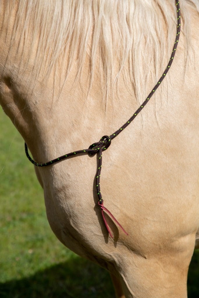 Cordelette - Équitation Éthologique - Haras de La Cense