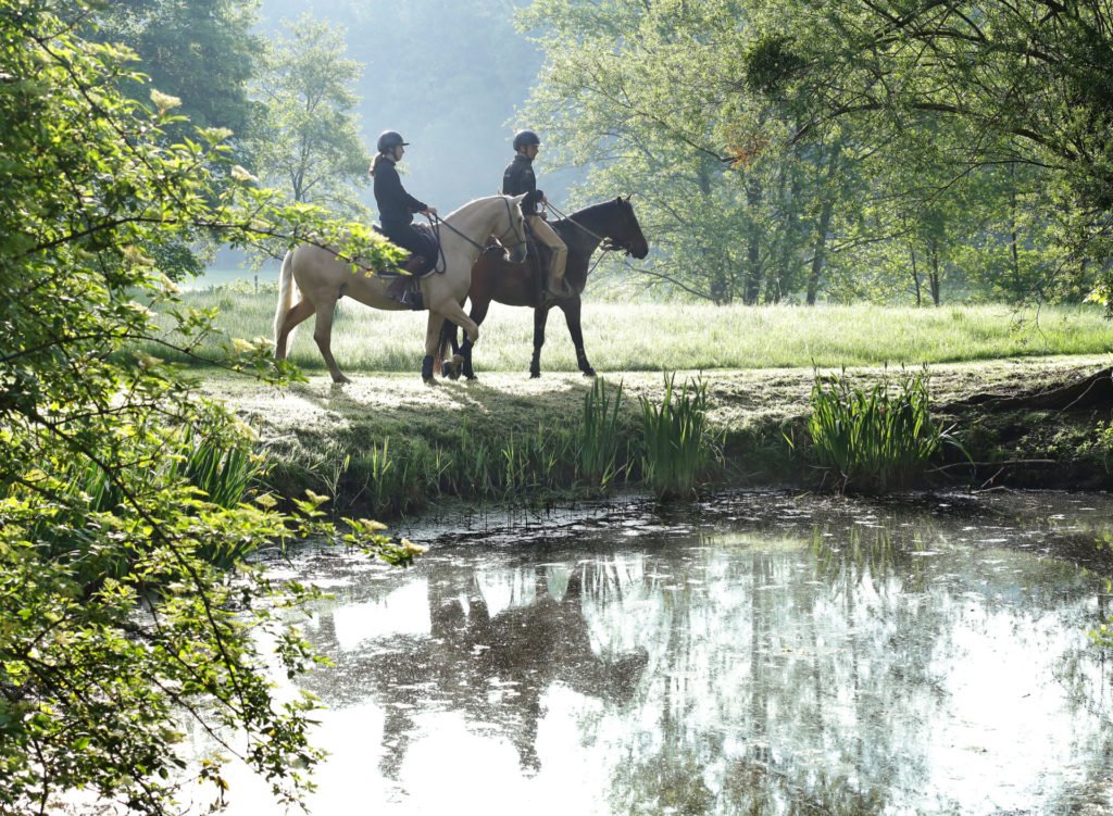 Home - Haras de La Cense