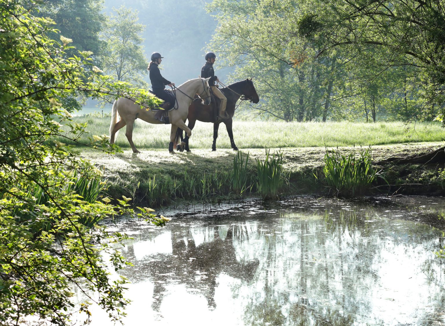 Home - Haras de La Cense