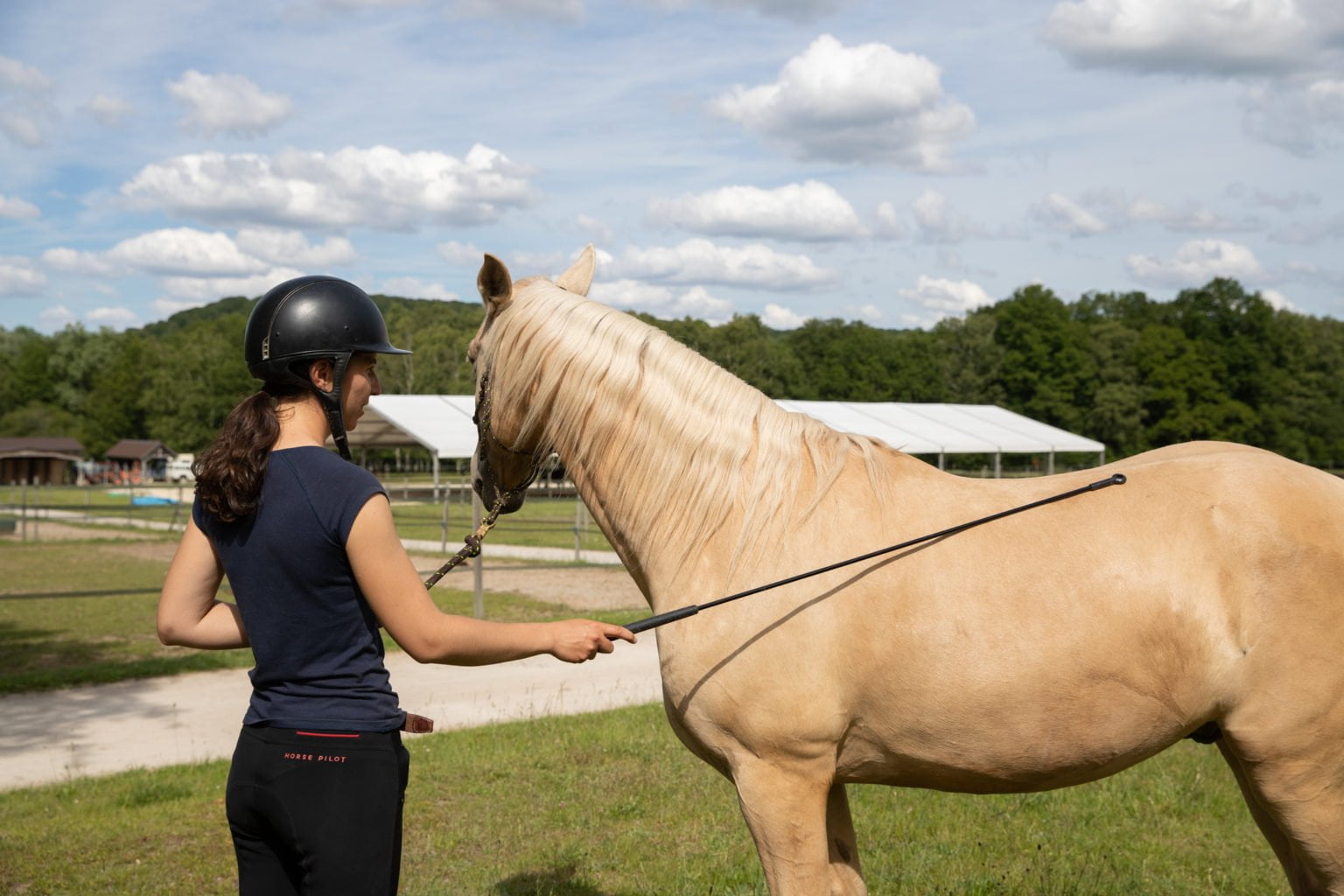 Stick de communication - Équitation Éthologique - Haras de La Cense